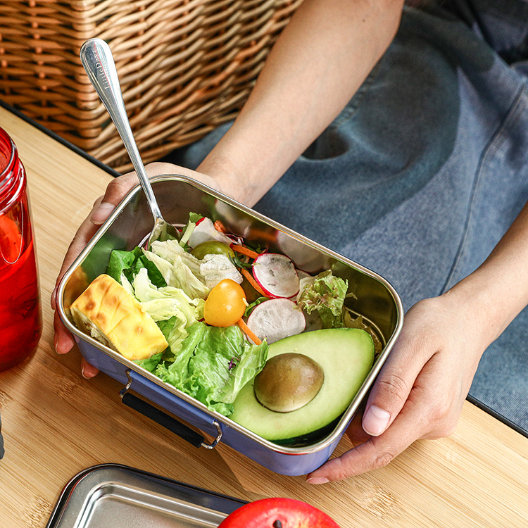 Amazing Stainless Steel Bento Box set - EverichHydro